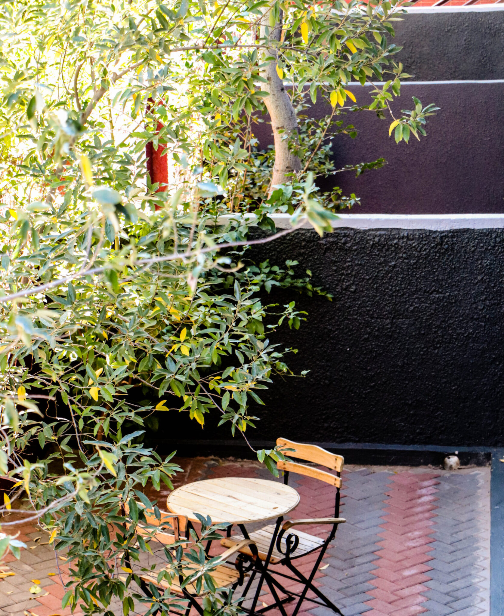 Windhoek Gardens – Windhoek Gardens